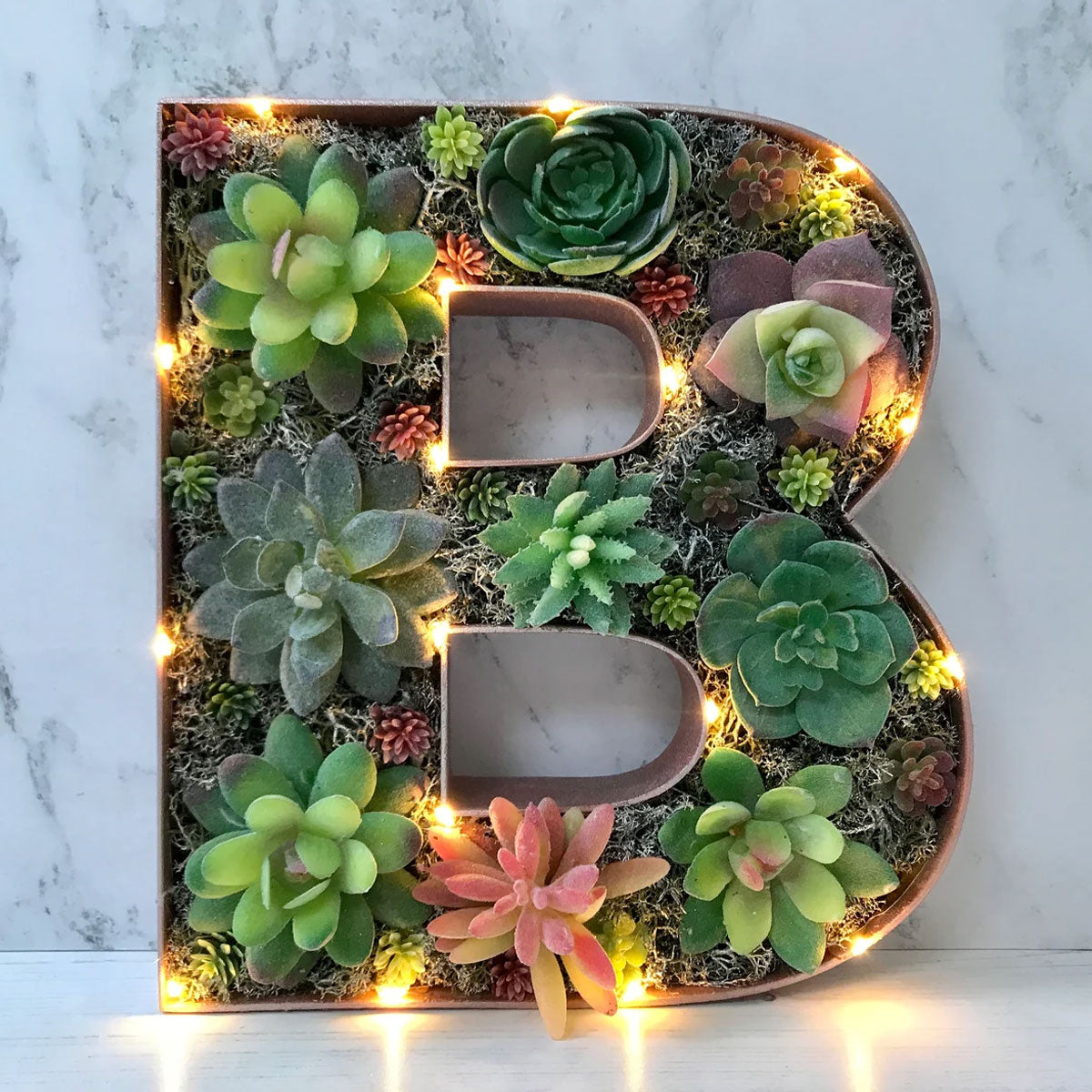 SUCCULENTS – Love Letters by Analisa